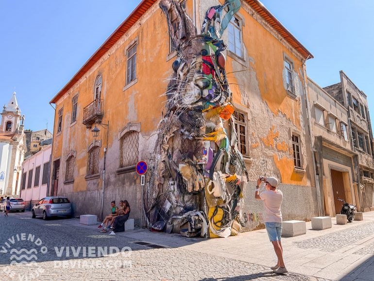 QUÉ VER EN OPORTO en 3 días, ruta diaria + MAPAS