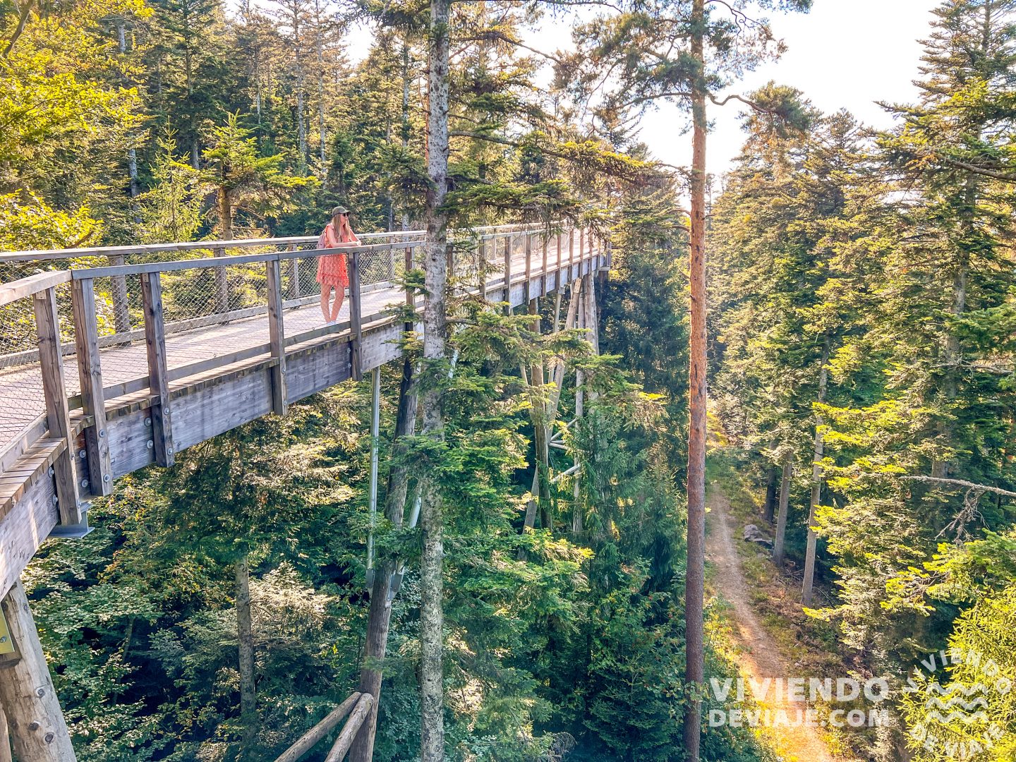 Ruta por la Selva Negra [GUÍA DE VIAJE] | Viviendo de Viaje