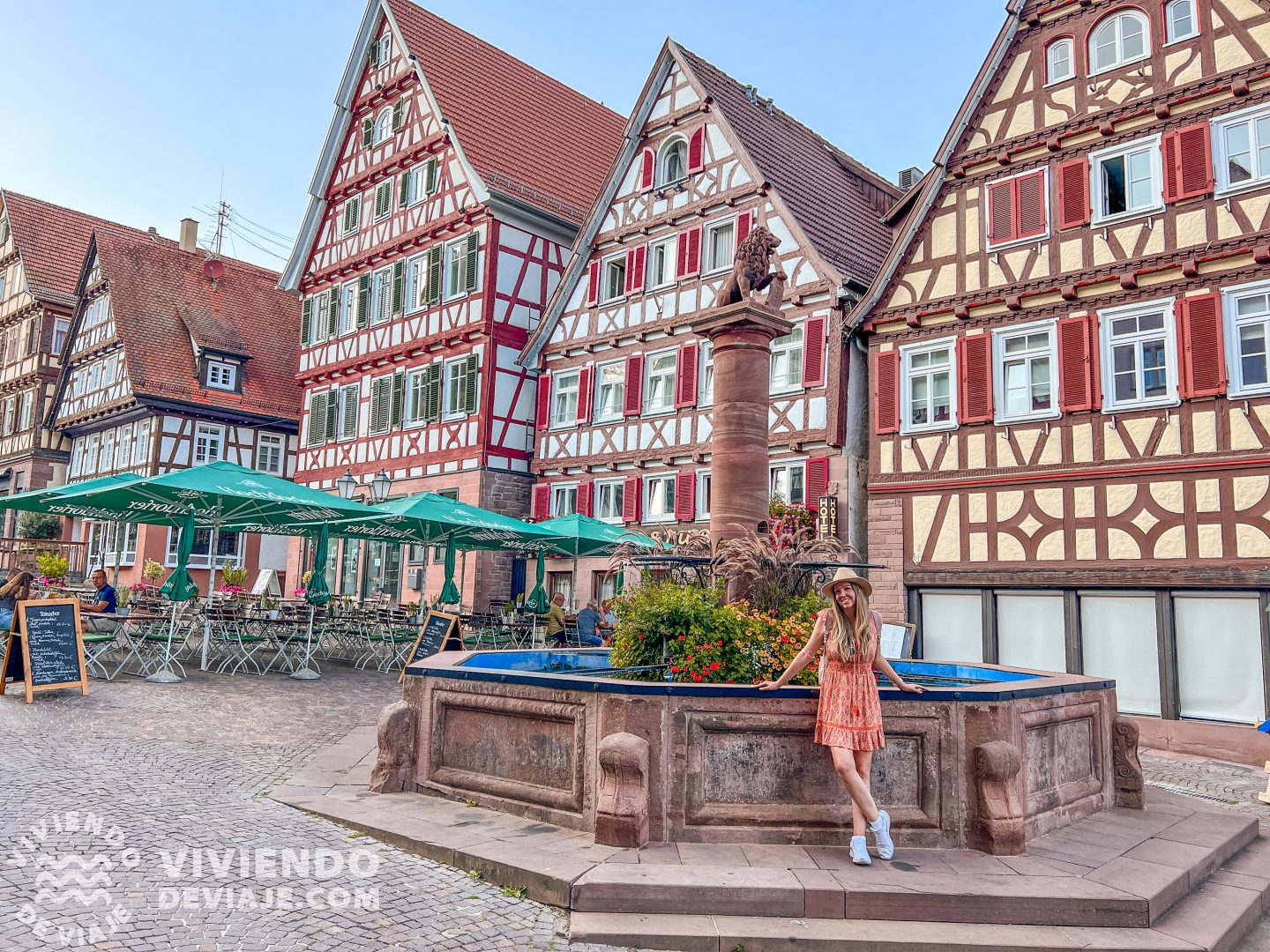 Ruta por la Selva Negra [GUÍA DE VIAJE] | Viviendo de Viaje