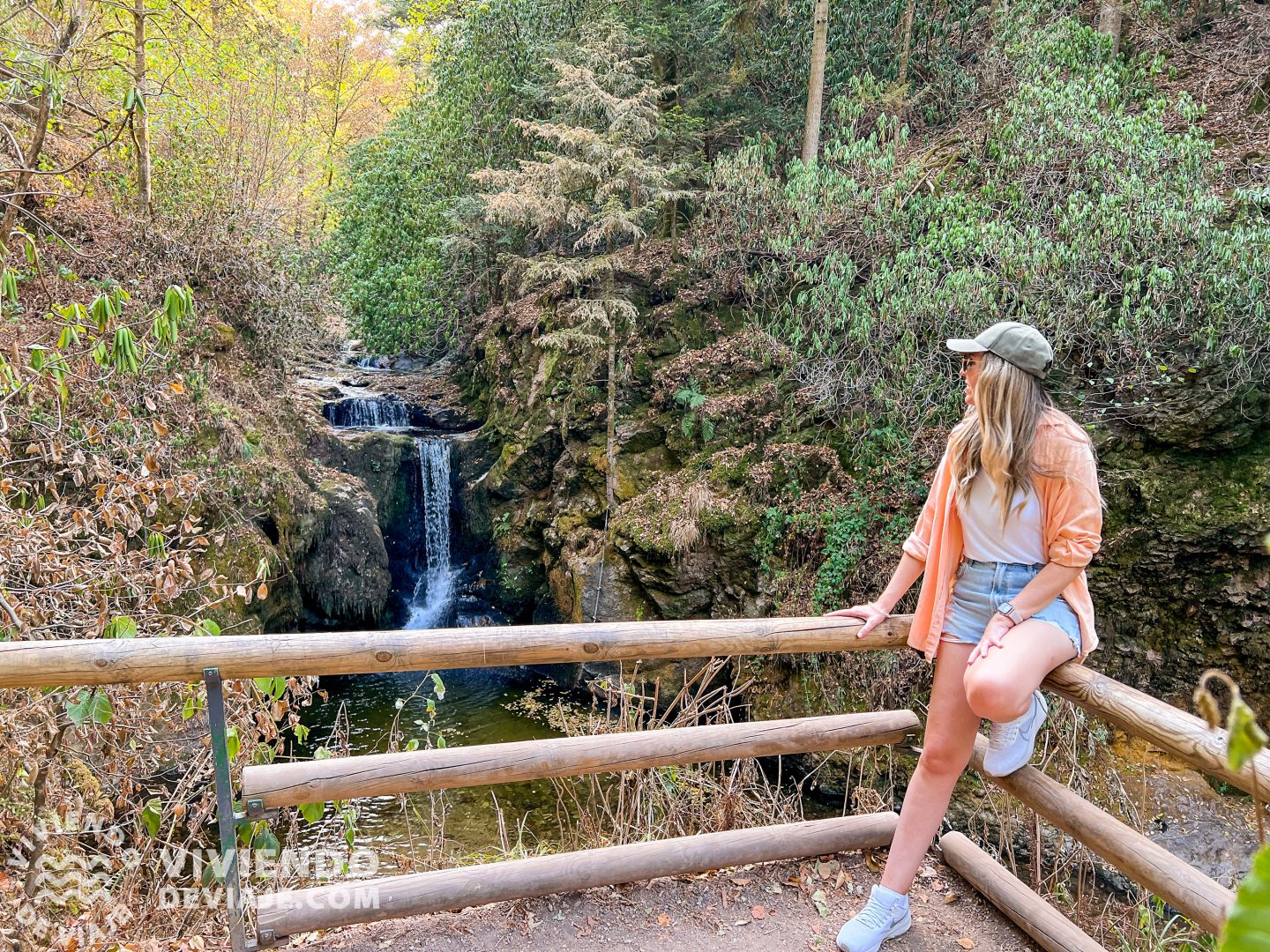 Ruta por la Selva Negra [GUÍA DE VIAJE] | Viviendo de Viaje