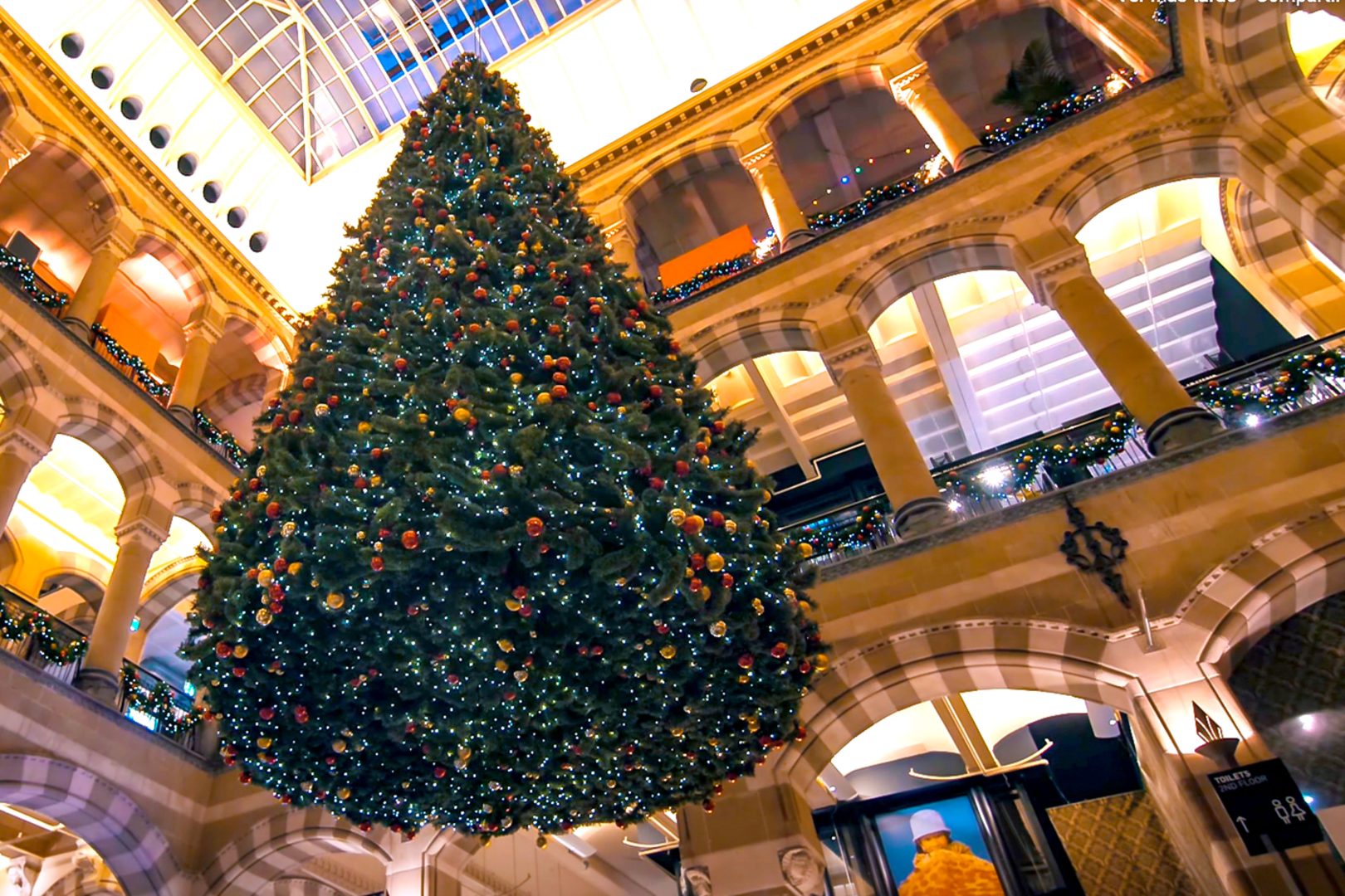Ámsterdam en Navidad 2023 [GUÍA DE VIAJE] | Viviendo de Viaje