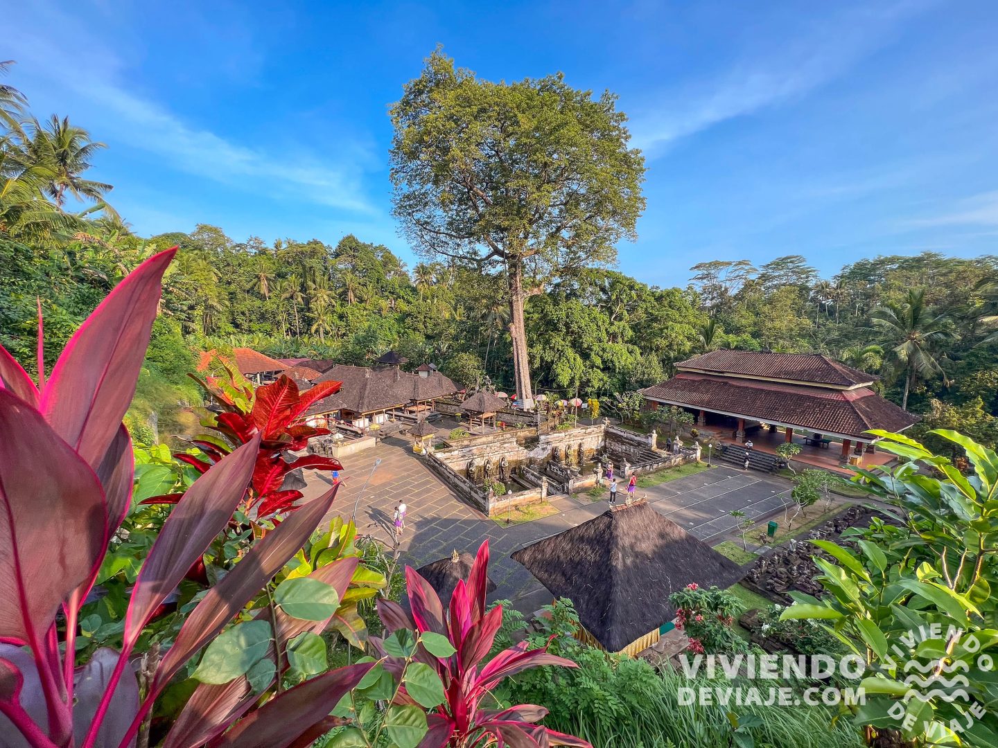 25 CONSEJOS para viajar a Bali por primera vez | Viviendo de Viaje