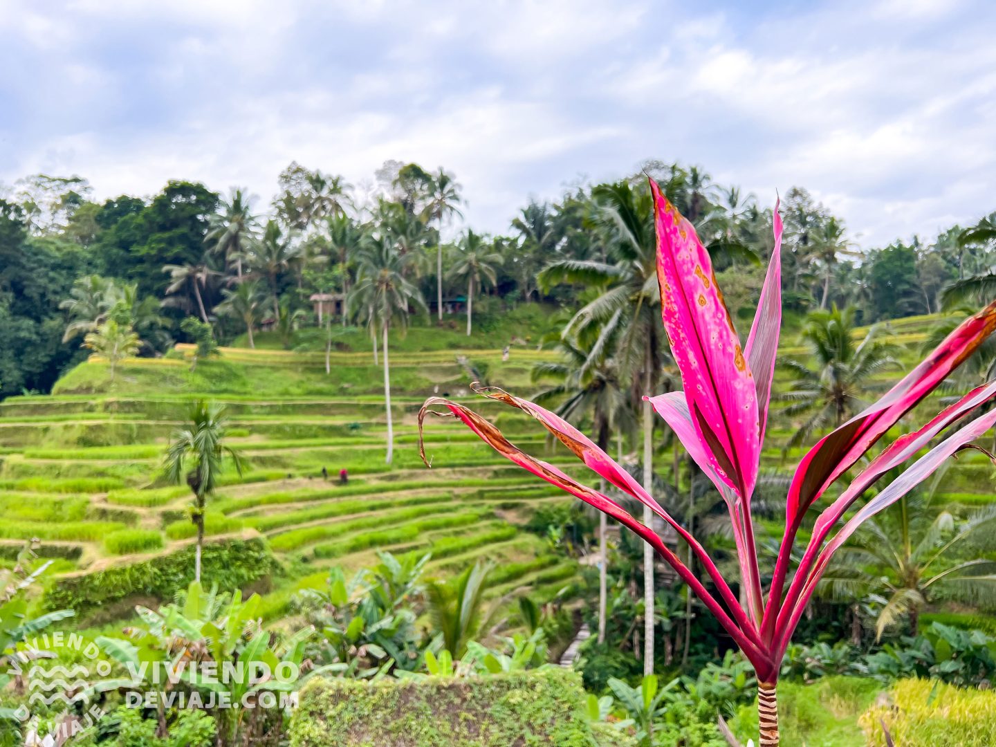 Dónde alojarse en Bali, mejores zonas según tu viaje